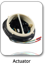 Accessories - Hadley